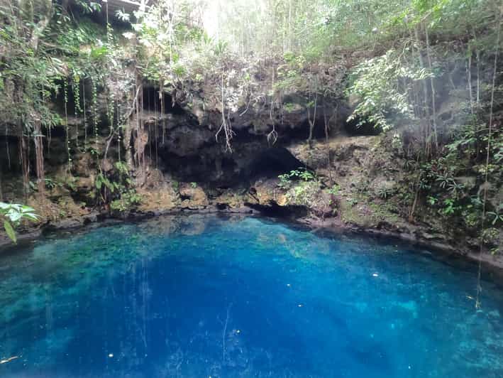 4 Cenotes Private Tour with Snorkeling | GetYourGuide