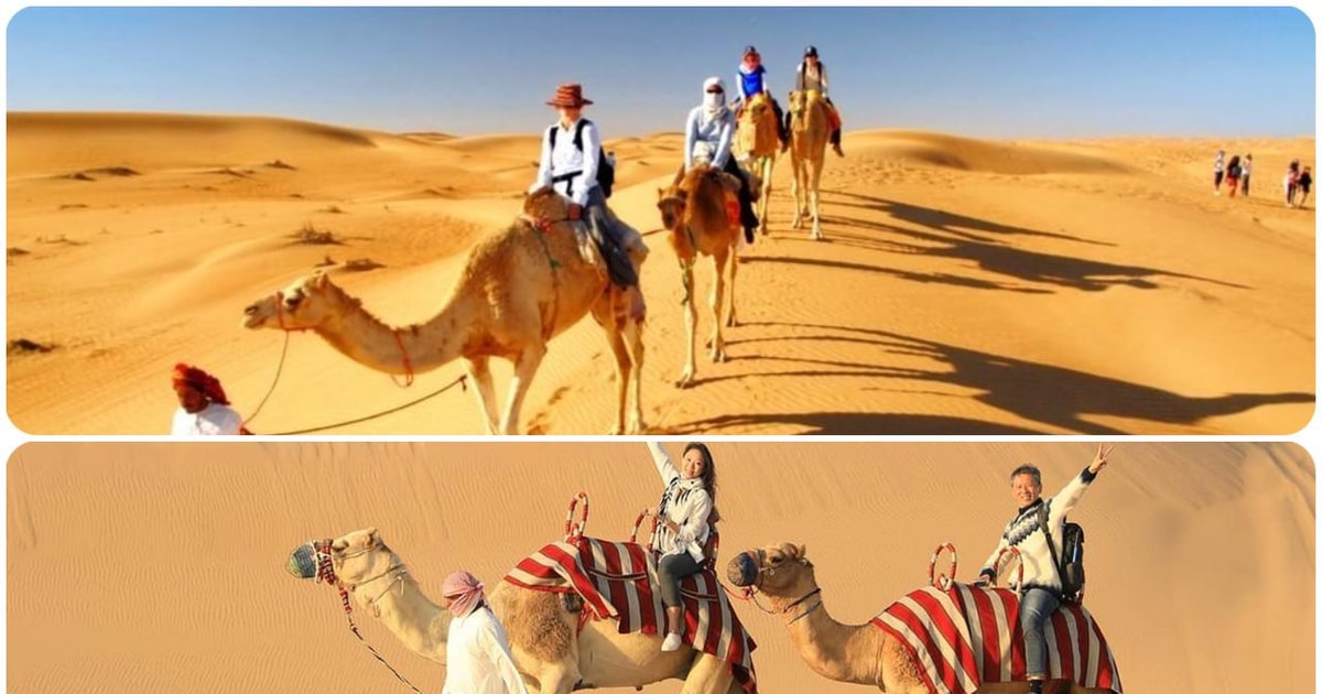 From Doha: Experience Bedouin Style Camel Safari | GetYourGuide
