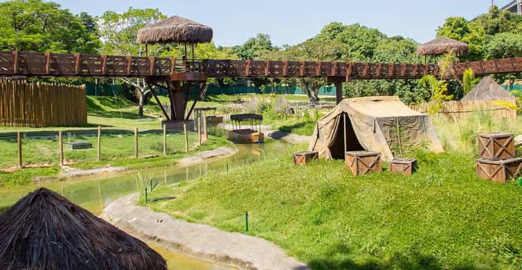 Rio de Janeiro: Ingressos para o BioParque do Rio (Zoo) | GetYourGuide