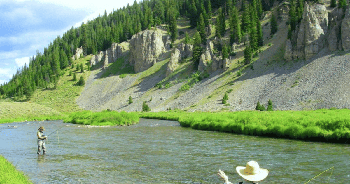 Big Sky: Learn to Fly Fish on the Gallatin River (3 hours) | GetYourGuide