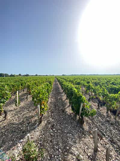 Bordeaux: Saint Emilion Village with Chateaus & Wine Tasting | GetYourGuide