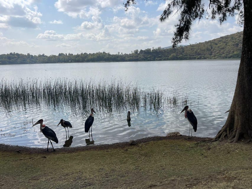 Day Trip to Debre Zeit/ Bishoftu | GetYourGuide