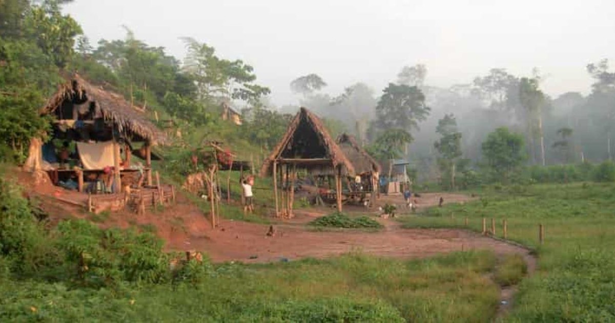 Tour to the indigenous communities of the Amazon Iquitos | GetYourGuide