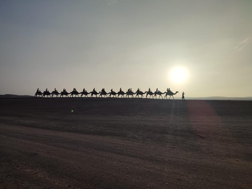 Marrakesh: Agafay Desert Sunset, Camel Ride, Dinner and Show | GetYourGuide