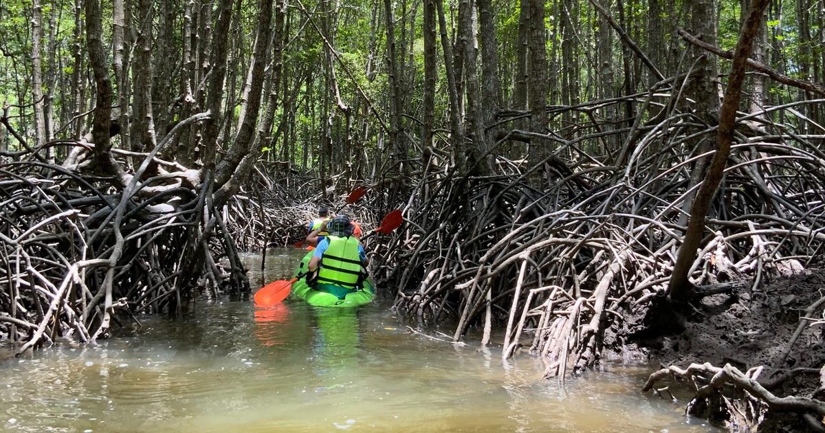 Koh Yao Yai: Klong Hia Mangroven Kajakfahren | GetYourGuide