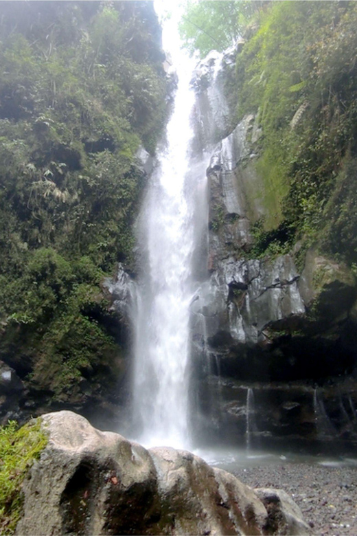 Yogyakarta: Selogriyo Temple, Rice Terraces & Waterfall Tour | GetYourGuide