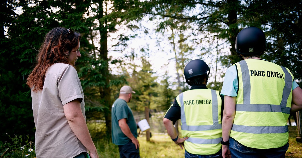 Parc Omega: Animal care experience - Guided feeding in side by side ...