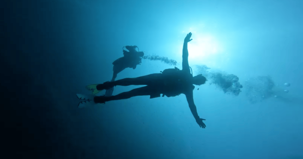 Scuba Diving - Dive for certified divers from boat | GetYourGuide