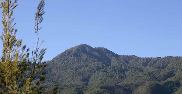 Oaxaca: Experiencia de senderismo por el bosque y la naturaleza ...