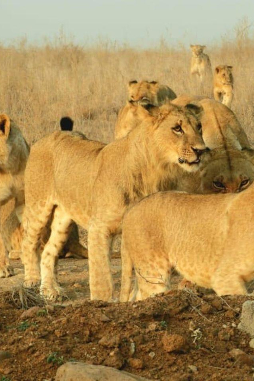 Le parc national du lac Nakuru : les points forts de la vie sauvage ...