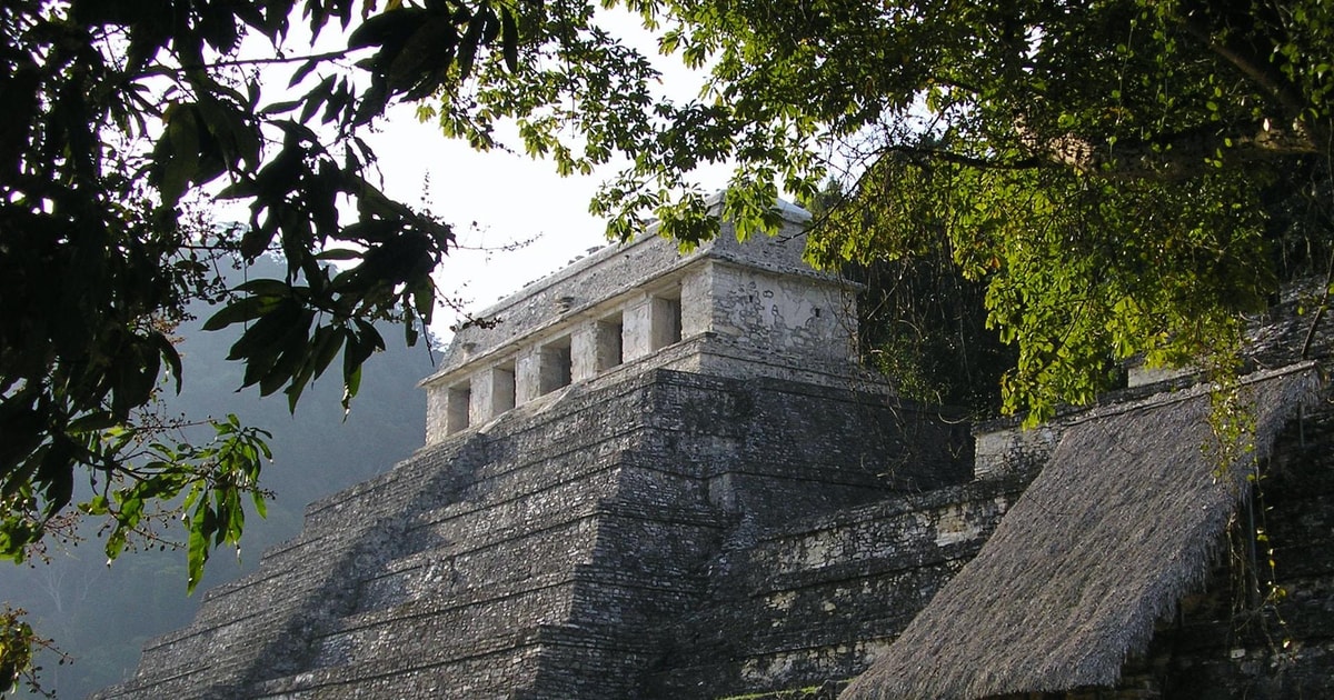 Palenque: Archaeological Zone Guided Tour | GetYourGuide