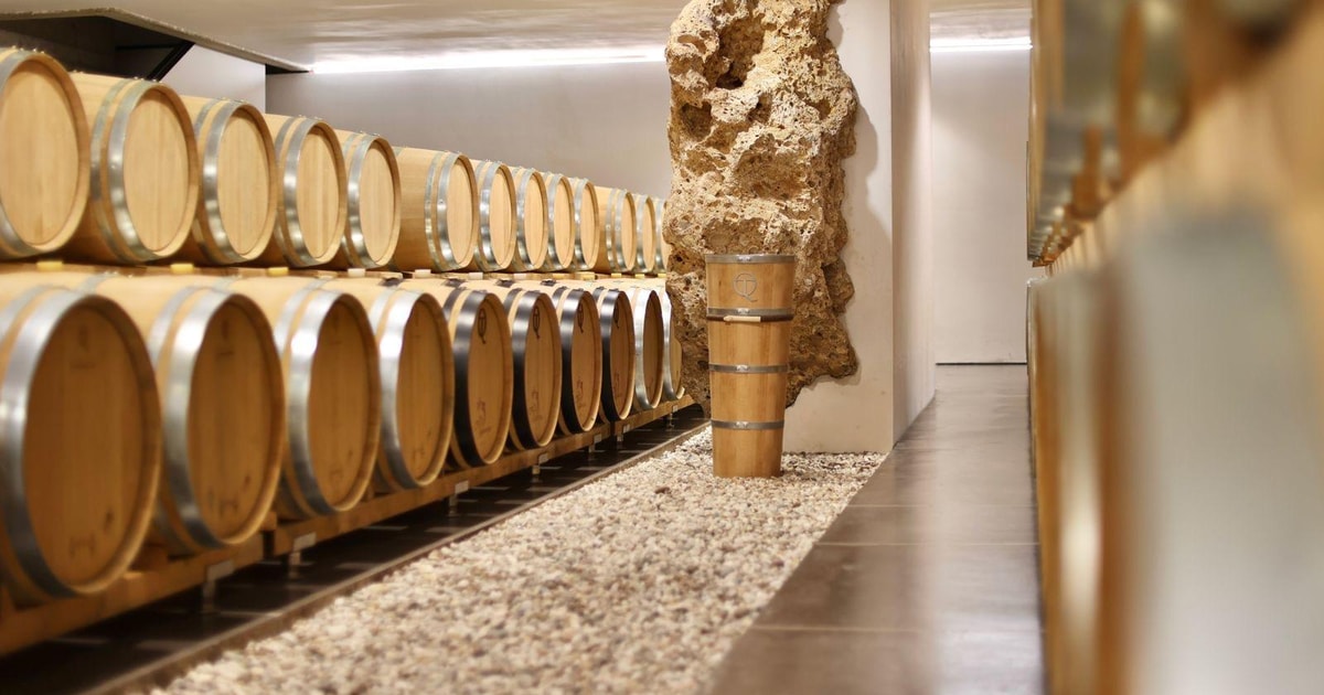 Visit the hills of the Treviso area and its full-bodied wines ...