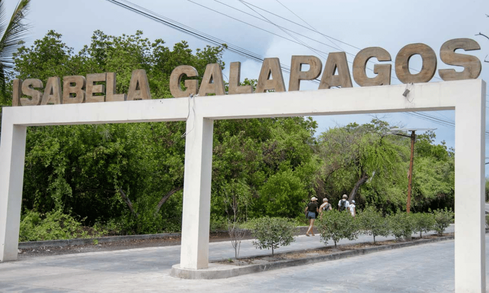Dagtrip naar Isabela eiland en Tintoreras in Galápagos | GetYourGuide