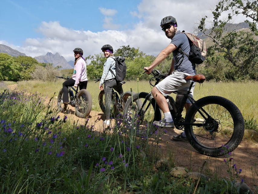 Stellenbosch Winelands Guided E-bike day tour countryside | GetYourGuide