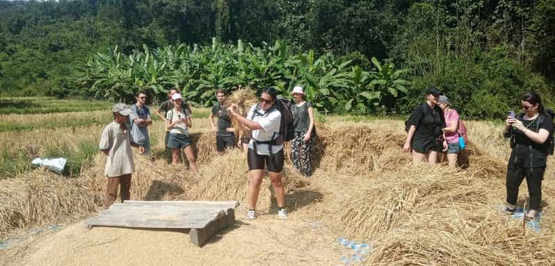 Chiang Mai: 2-Day Jungle Trek with Elephant Farm & Raft Ride | GetYourGuide