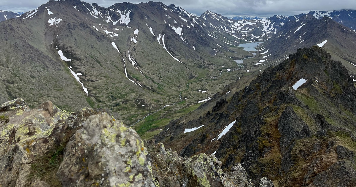 Desde Anchorage: Excursión privada por Alaska al Pico Wolverine ...