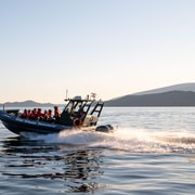 Vancouver: Zodiac Whale Watching Tour from Granville Island - 2026 ...