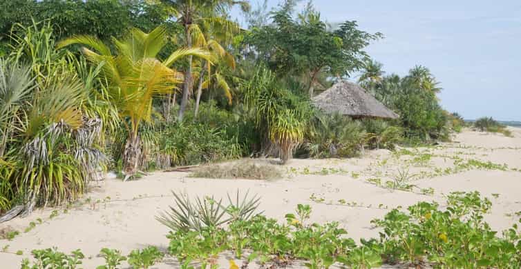 Private Dhow Cruise Lamu (Daytrip): Kipungani & Matondoni | GetYourGuide