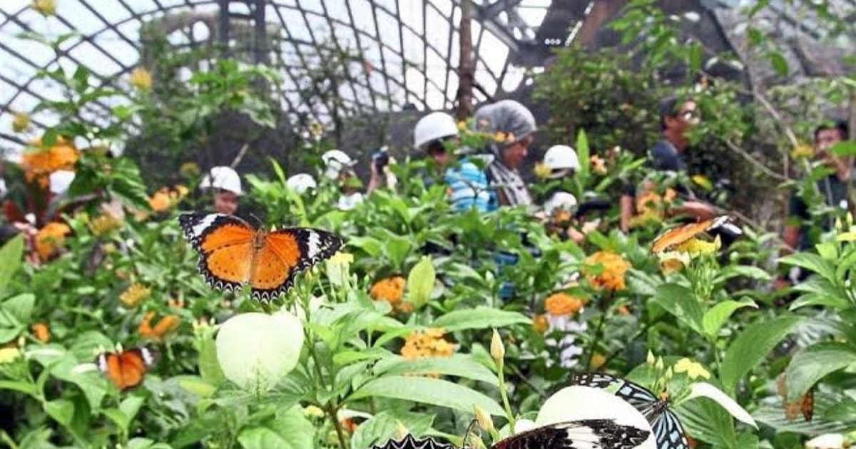 Zanzibar: Spice Farm, Butterfly Sanctuary, and Mangrove Tour | GetYourGuide