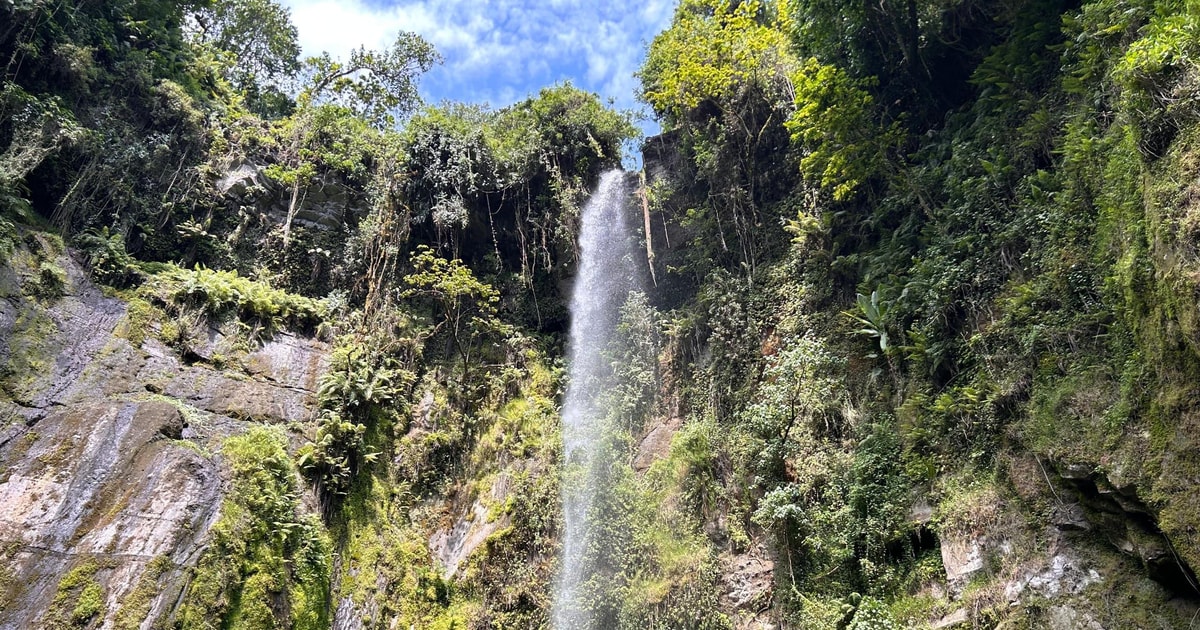 Arusha: Napuru Waterfalls Guided Hike | GetYourGuide
