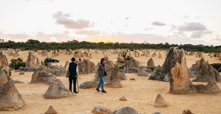 Perth: Pinnacle Desert Sunset and Stargazing with Dinner | GetYourGuide