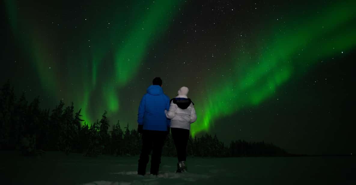 Revontulet Porokelkkailuajelu | GetYourGuide