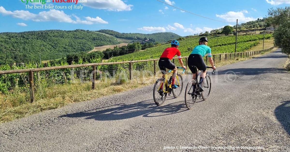Guided Bike Tour in Chianti, Tuscany, Italy. | GetYourGuide