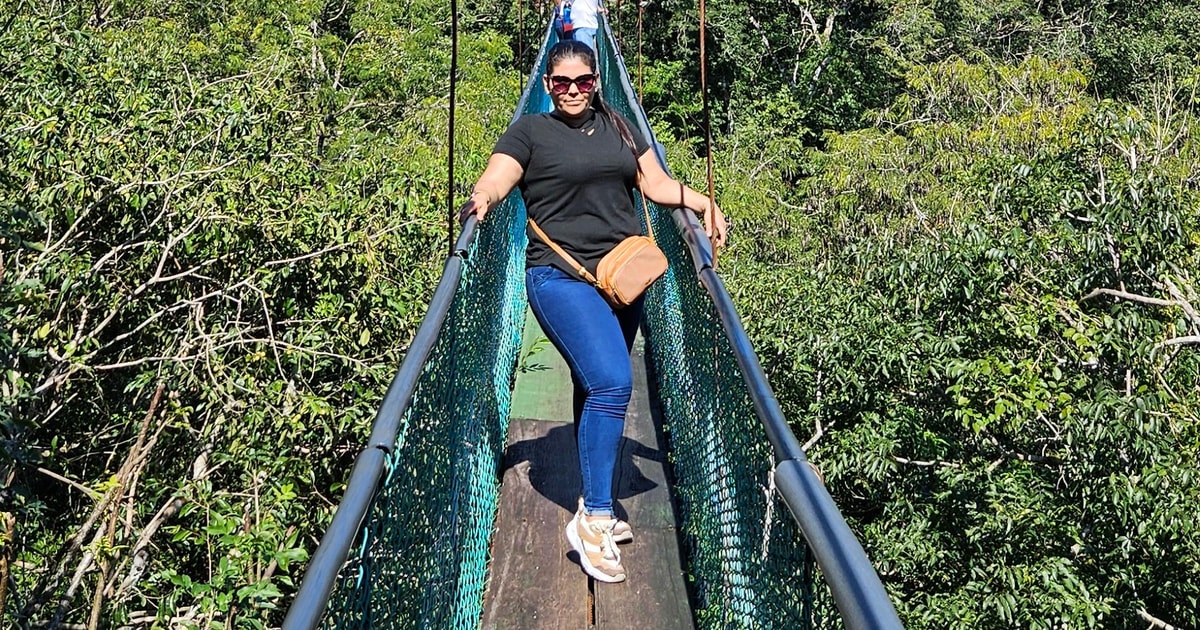 Adventure to Ixpanpajul Hanging Bridges plus Canopy | GetYourGuide