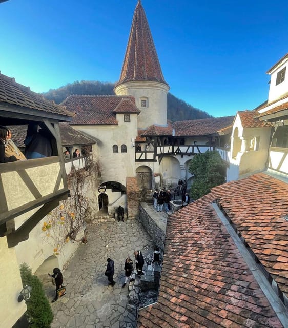 Sibiu: Dracula's Castle and Dino Park Day Trip | GetYourGuide