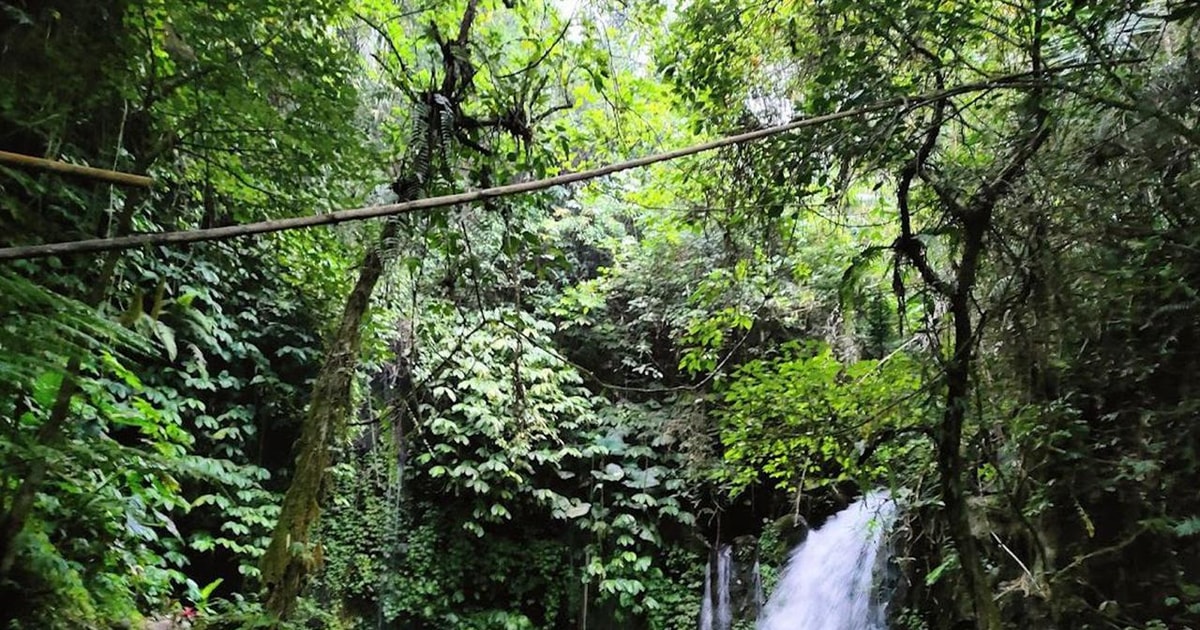 daytrip: sangeh monkey,jati luwih,yeh ho waterfalls | GetYourGuide