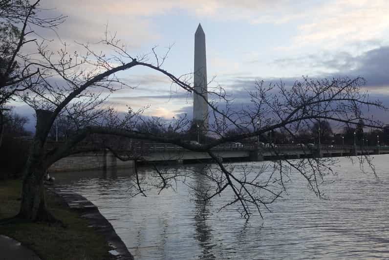 Floral Library, Washington, DC - Book Tickets & Tours | GetYourGuide