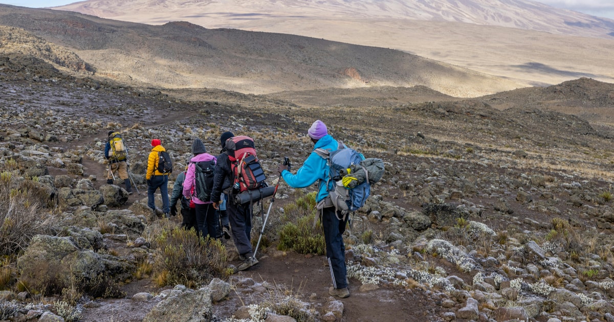 Gunung Kilimanjaro: Pendakian Kilimanjaro Sehari Melalui Rute Marangu | GetYourGuide