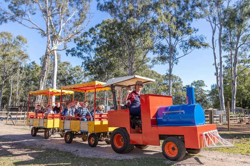 From Brisbane: White Ridge Farm - Animal Farm Tour | GetYourGuide