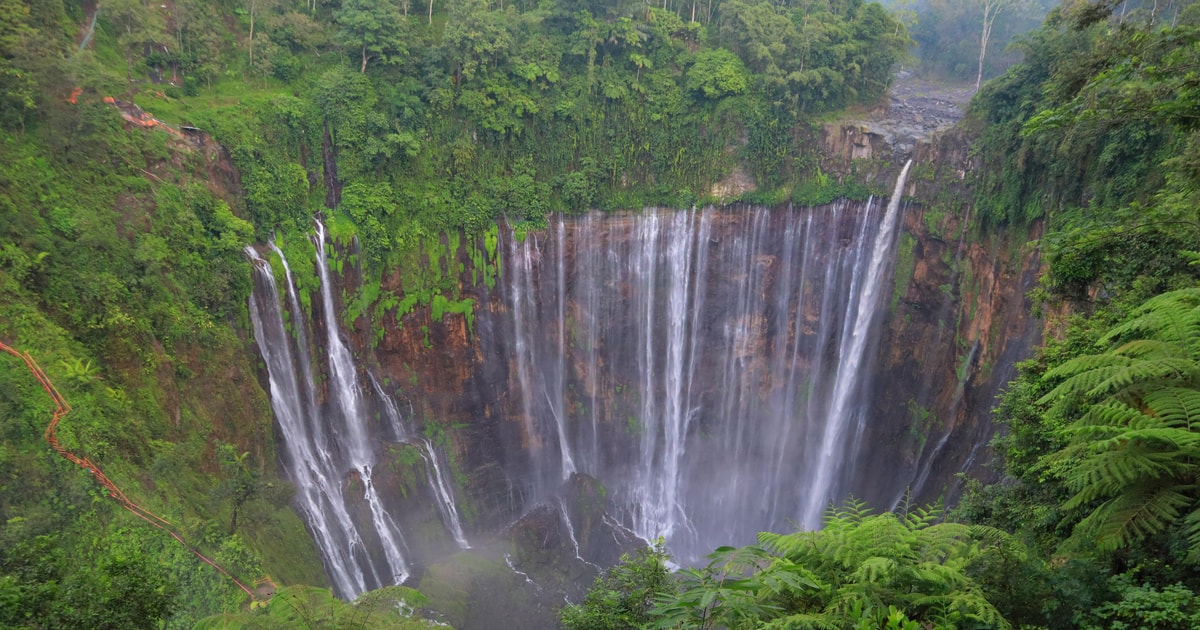 Surabaya: Mount Bromo and Tumpaksewu Waterfall Guided Tour | GetYourGuide