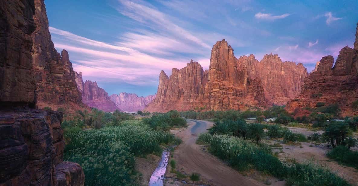 From Tabuk: Wadi Al Disah Private Tour | GetYourGuide