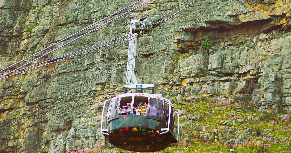 Kapstaden: Taffelberget, Bo Kaap och Diamond Tour | GetYourGuide