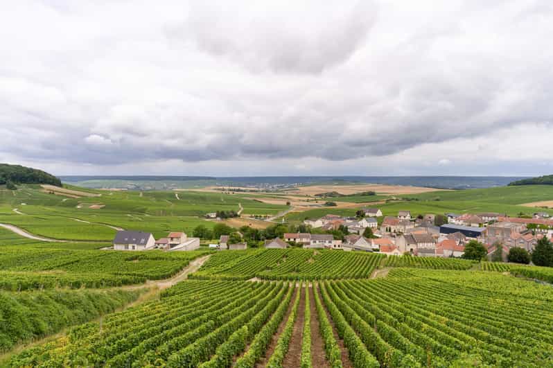 From Paris: Day Trip to Champagne with 8 Tastings & Lunch | GetYourGuide