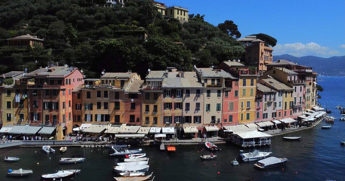 Swimming Cetacea Private Tour Boat Genova Portofino | GetYourGuide