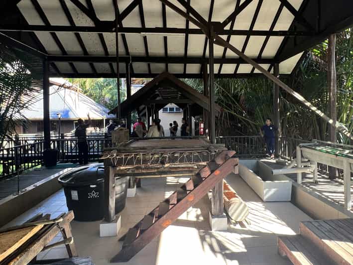 Private Tour of Kuala Penyu Sabah Proboscis & Firefly | GetYourGuide