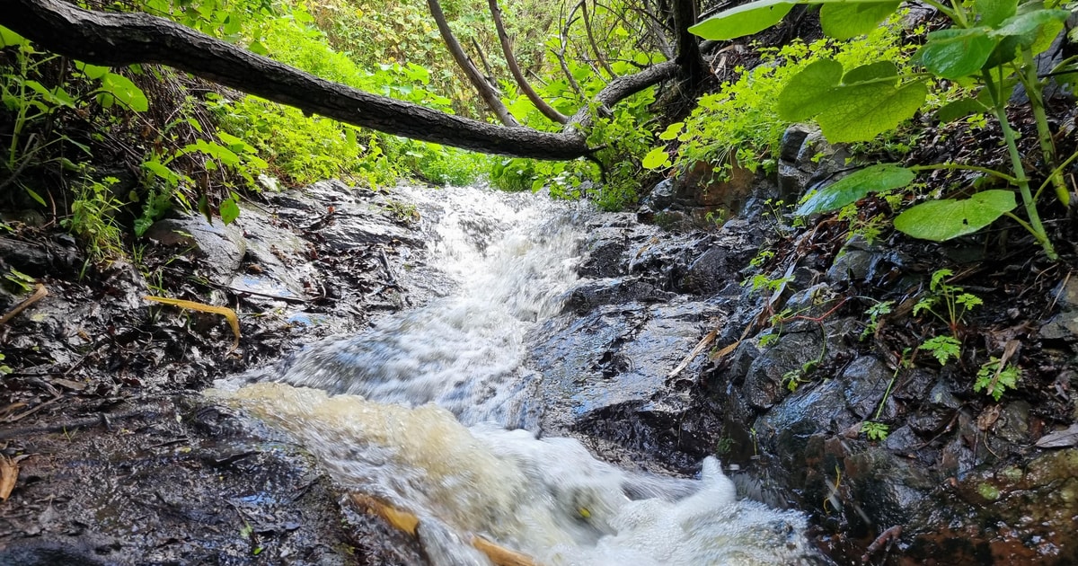 Gran Canaria: "Magic Waterfalls" Hiking Tour | GetYourGuide