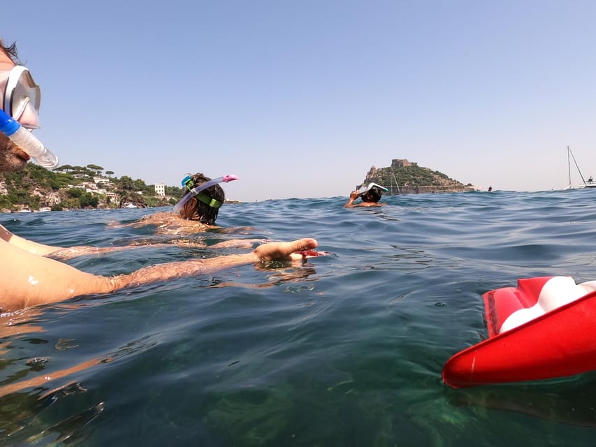 Snorkeling Experience in Ischia with local Guide | GetYourGuide