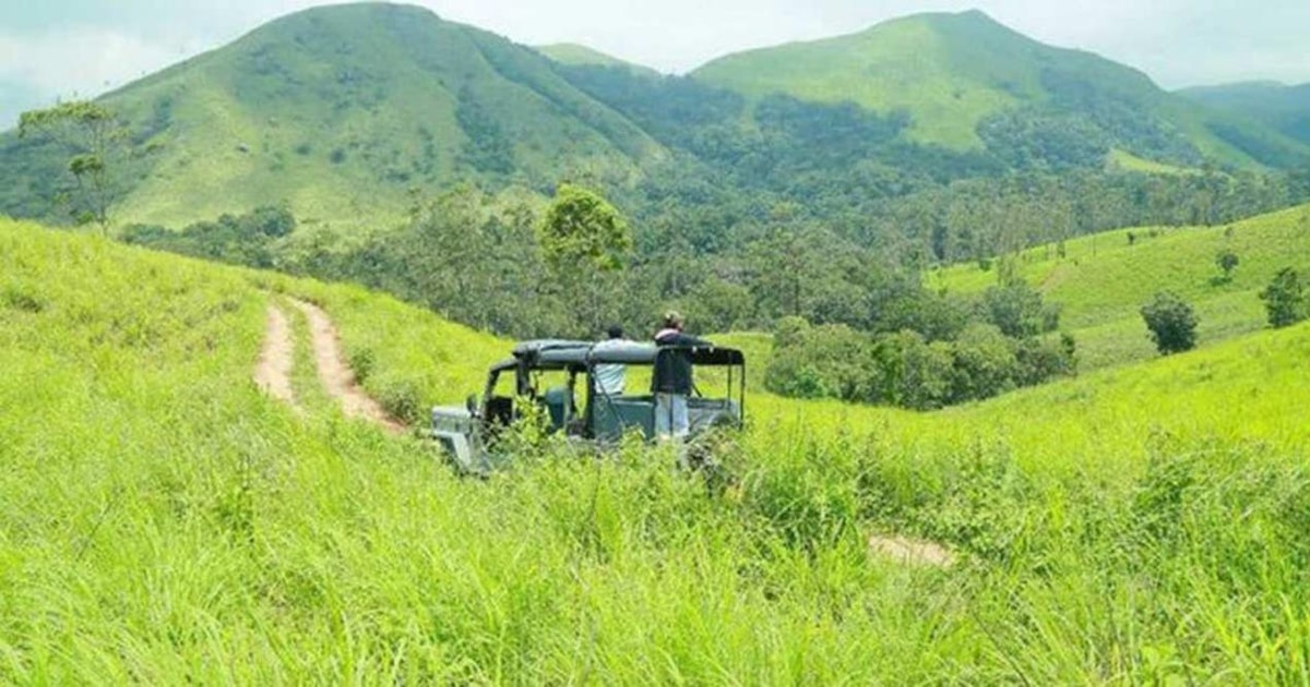 Thekkady Adventure: Off-Road Jeep Safari & Vagamon Tour | GetYourGuide