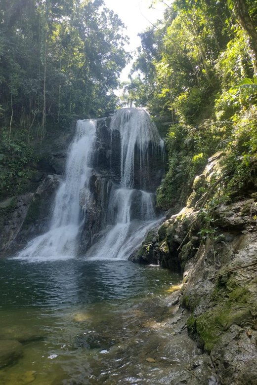 Puerto Rico: Gozalandia River Hiking and Waterfall Tour | GetYourGuide