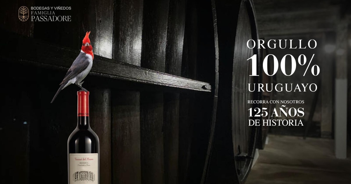 Santa Rosa Winery: Museum Tour and Tasting | GetYourGuide