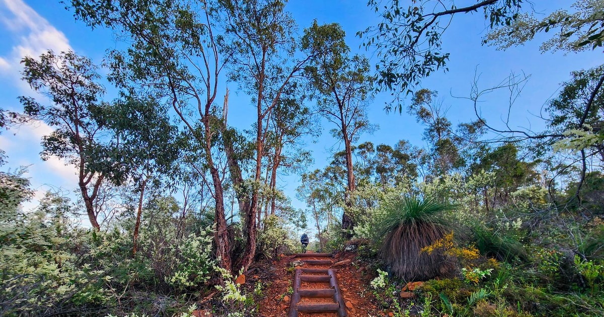 Perth: Cascate John Forrest, Wandoo e fiori selvatici | GetYourGuide