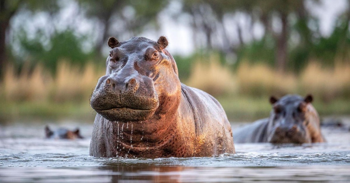 Passeio de um dia em Bahir Dar | GetYourGuide