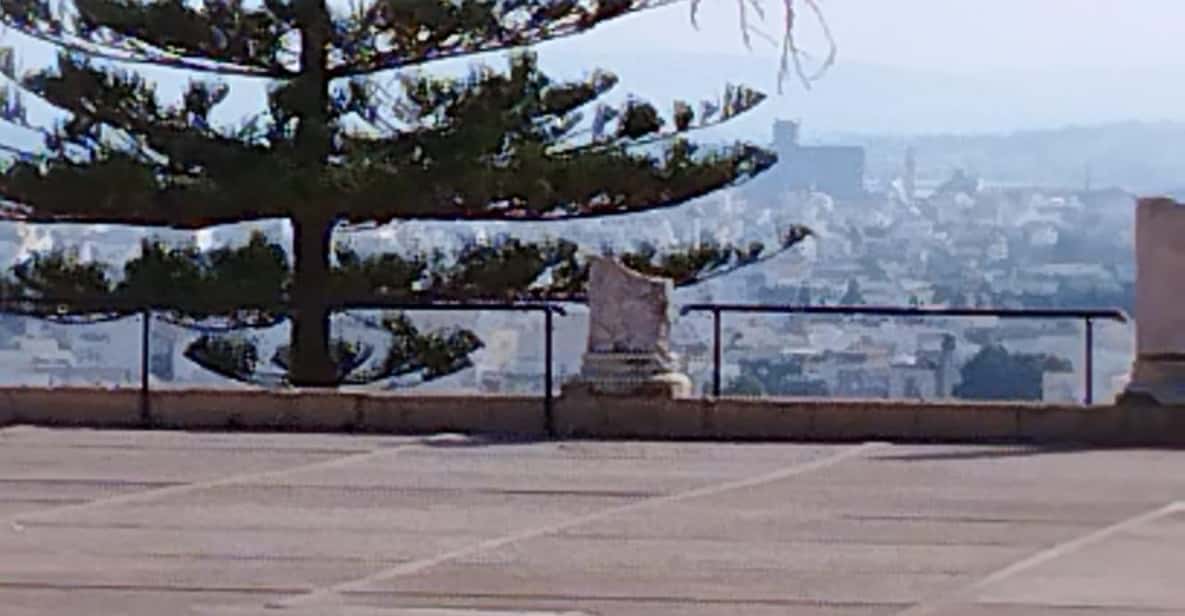 1 hele dag naar Tunis, Carthago, Sidi Bousaid | GetYourGuide