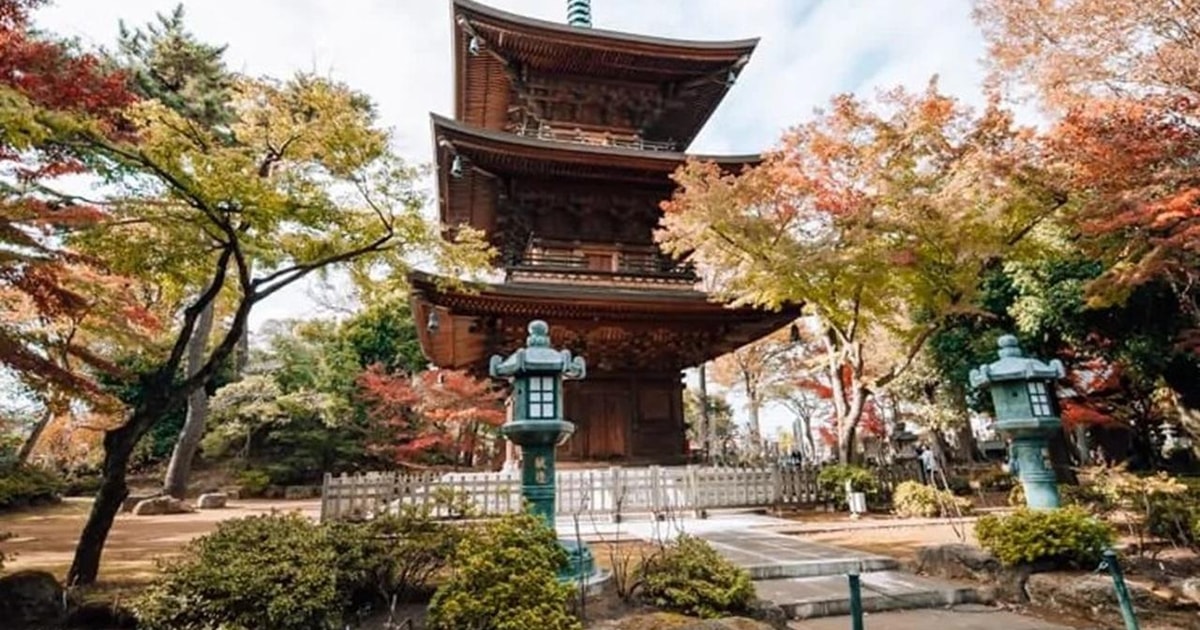 Tokyo Hidden Shrines, Samurai Temples & Shibuya Crossing | GetYourGuide