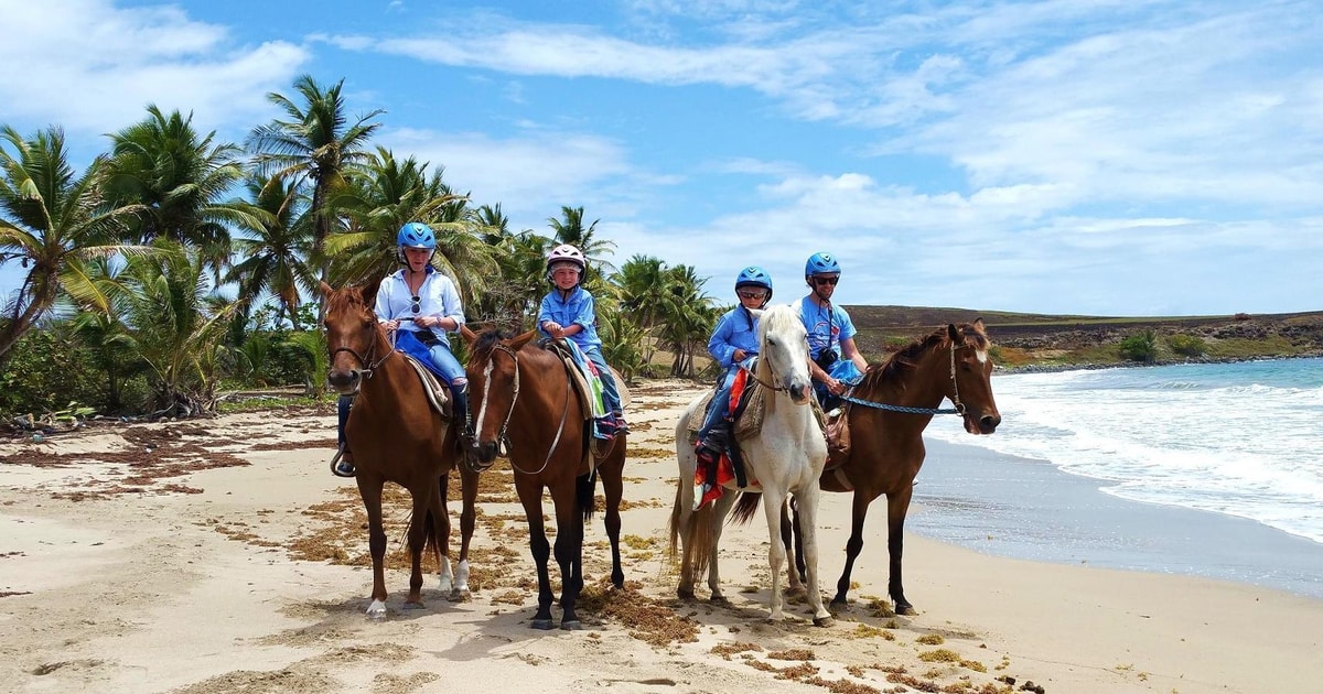 Paseos a Caballo en Santa Lucía: Explora la isla con estilo | GetYourGuide