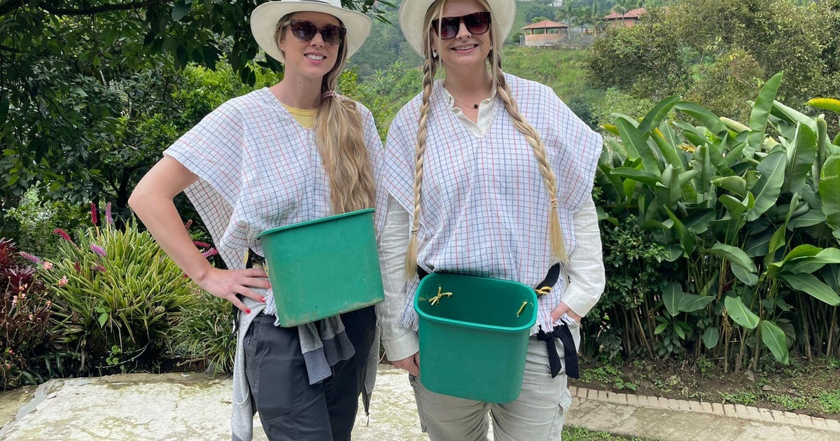 From Bogota: 5 hour guided coffe farm tour - All included | GetYourGuide